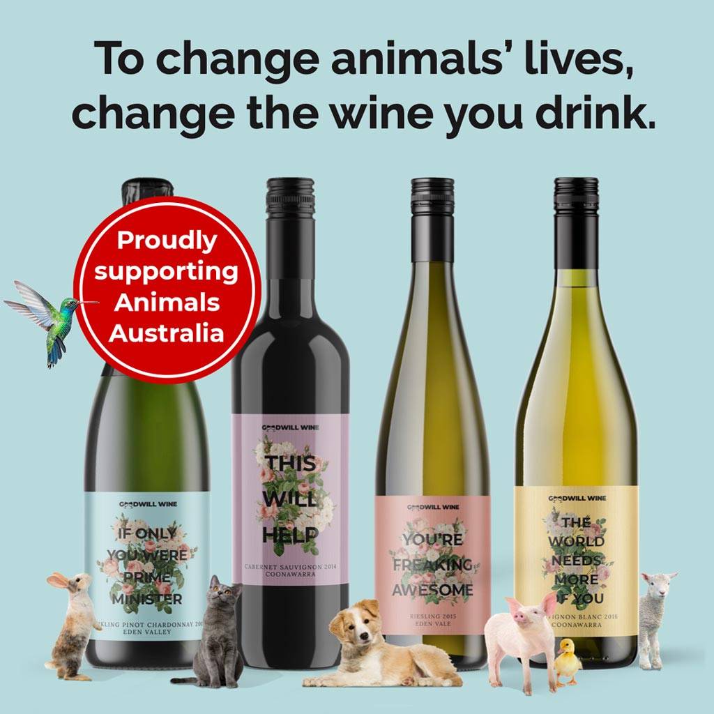 New Charity Information – Goodwill Wine
