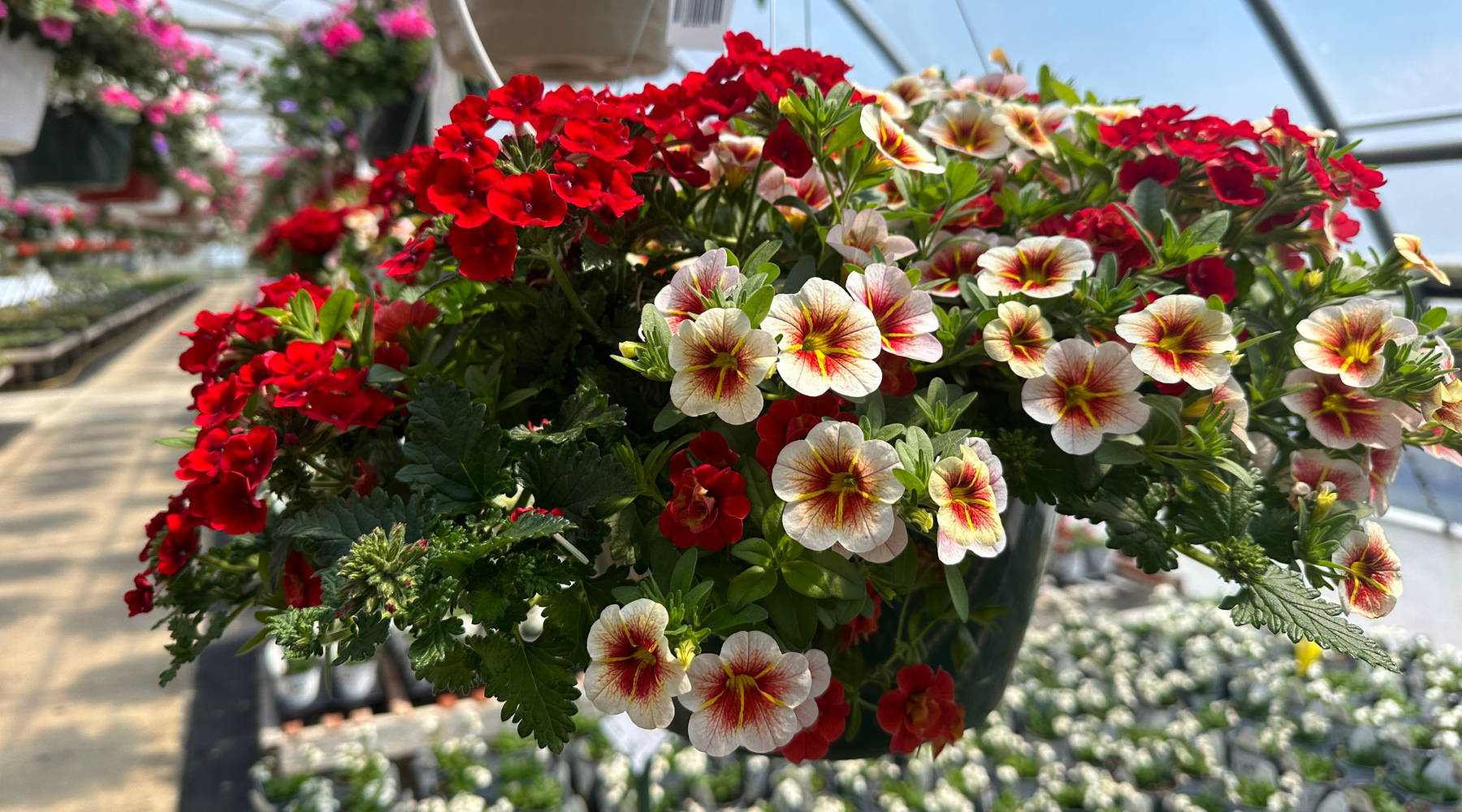 Deneweth's Garden Center