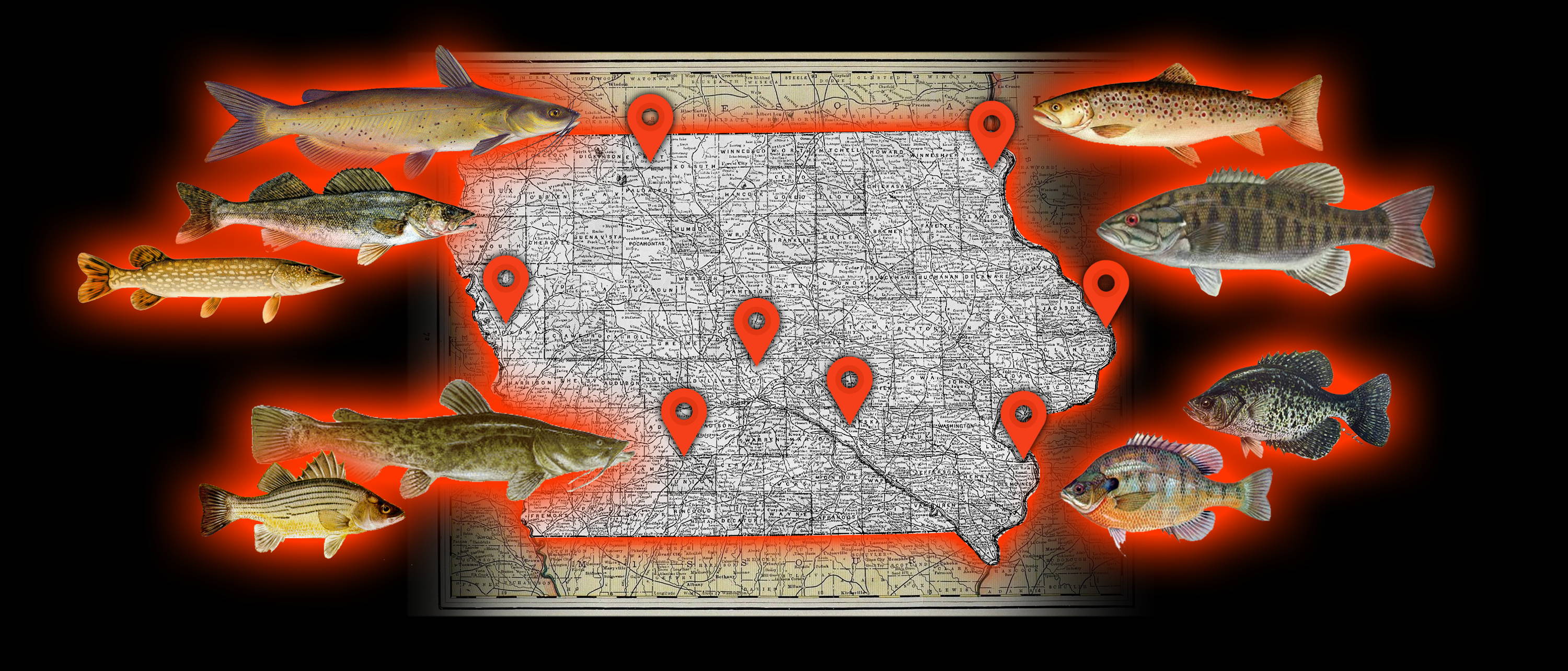 Summer Fishing Destinations – Top Spots & Angling Adventures | Whisker ...