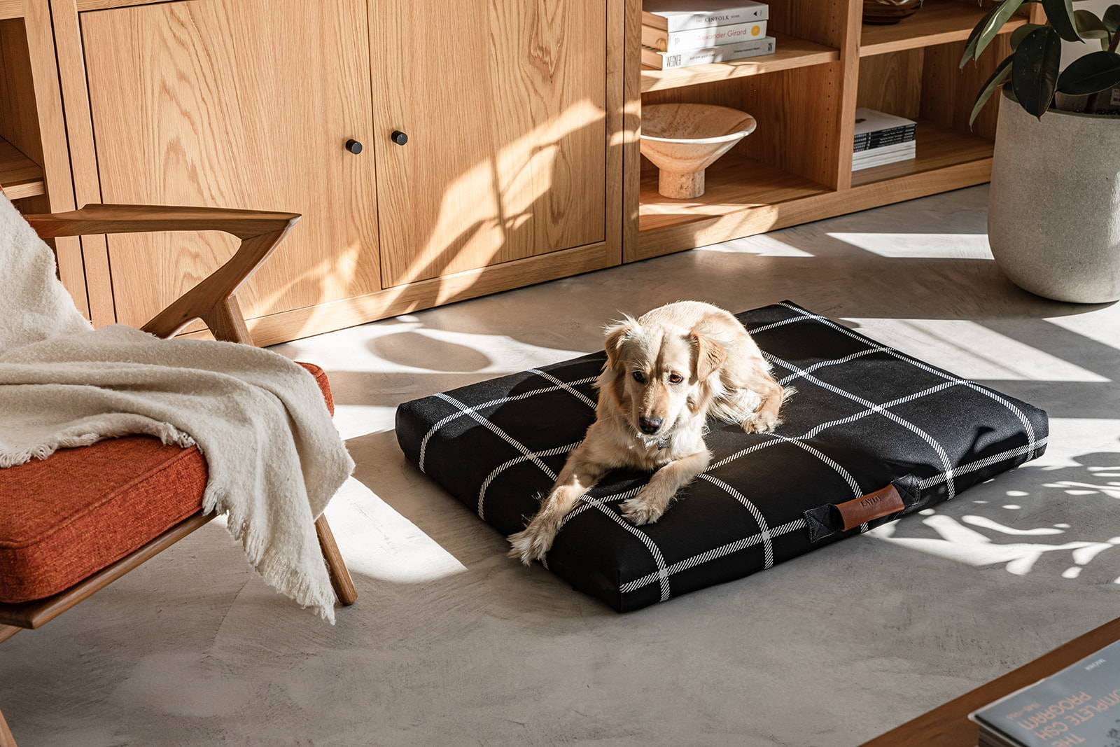 LAY LO Dog Bed Swappable Cover System – LAY LO Pets