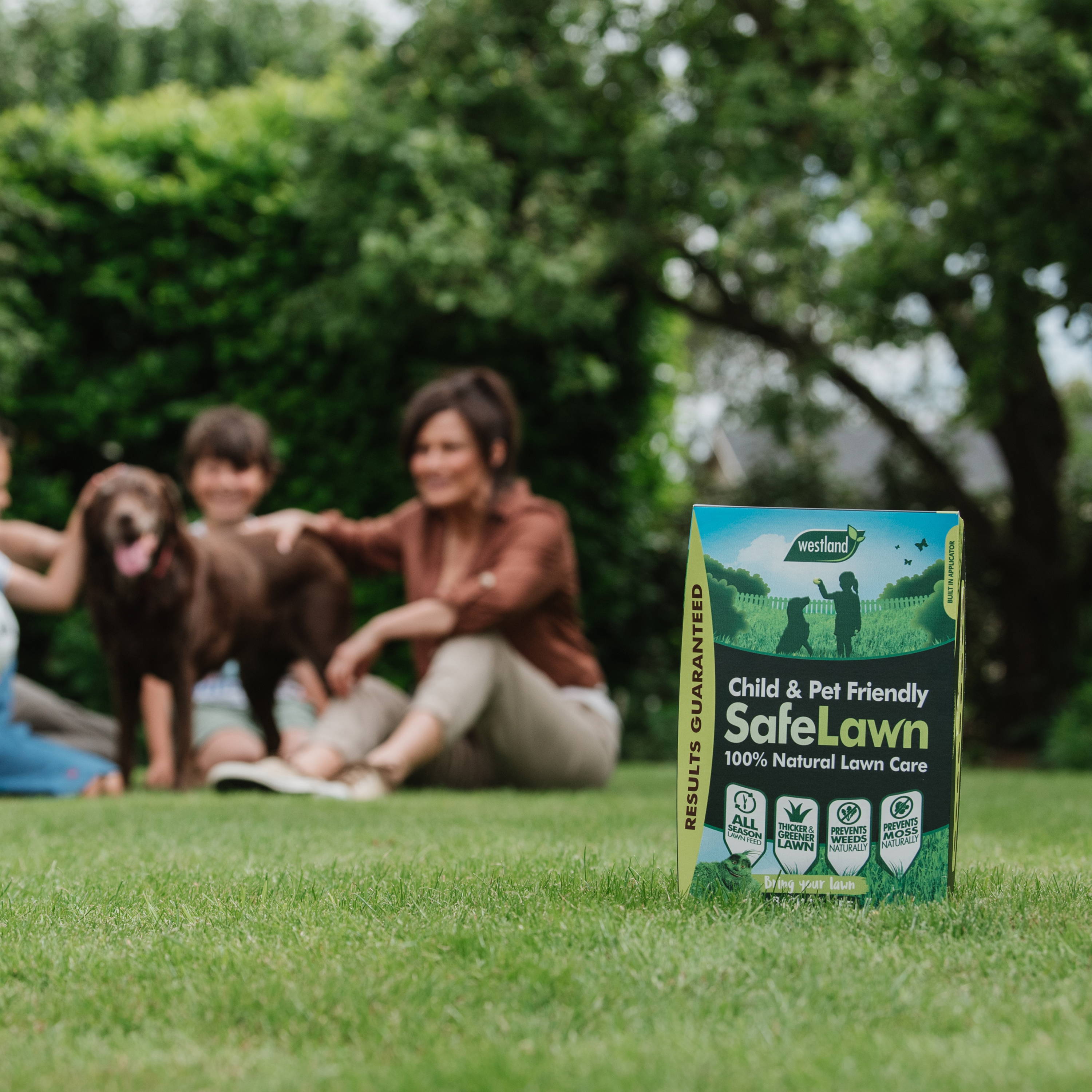 Lawn Care Recommendation Tool | Find the solution to your Lawn Care ...