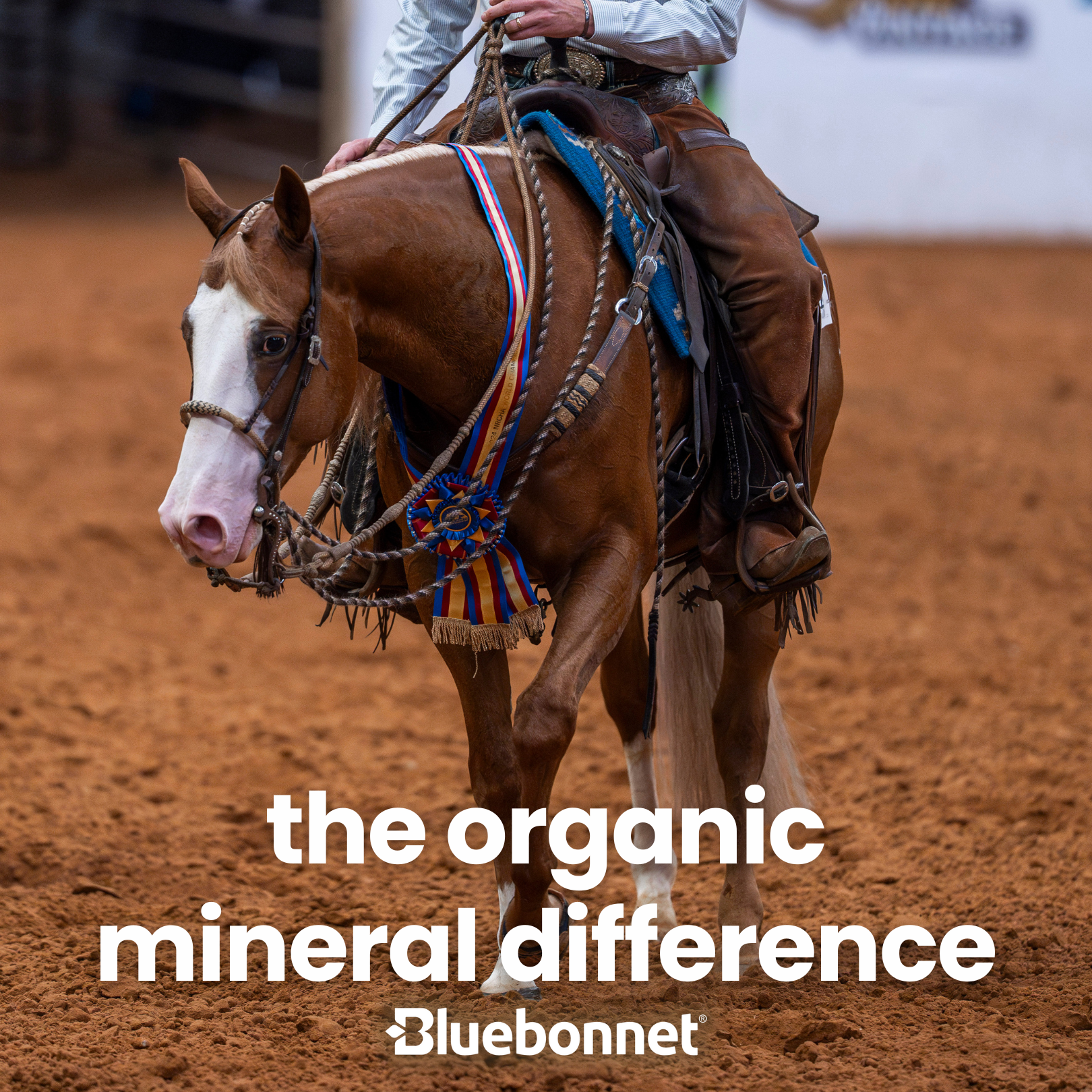 Bluebonnet: Organic Mineral Benefits