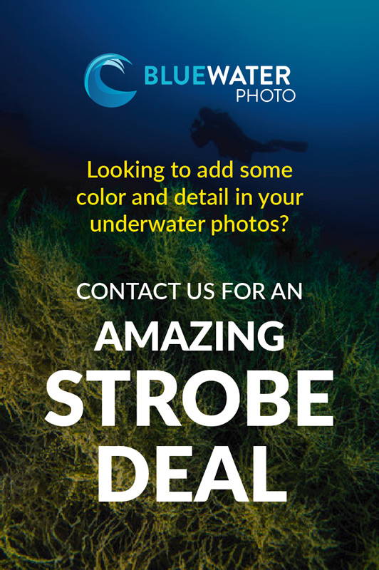 Bluewater Photo Special Deals & Sales