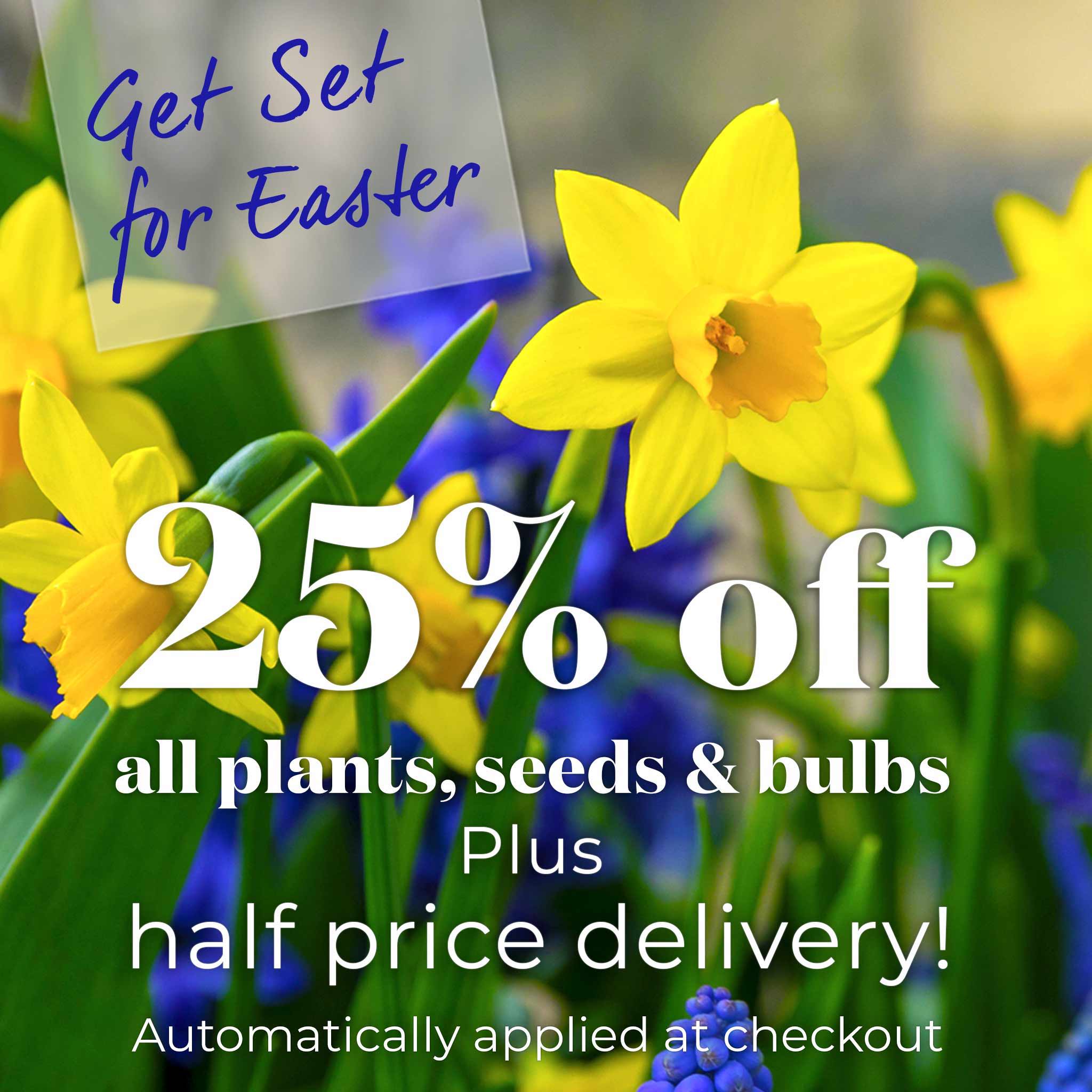 Easter Sale | Get Set for Easter with our Sale | Browse our range of ...