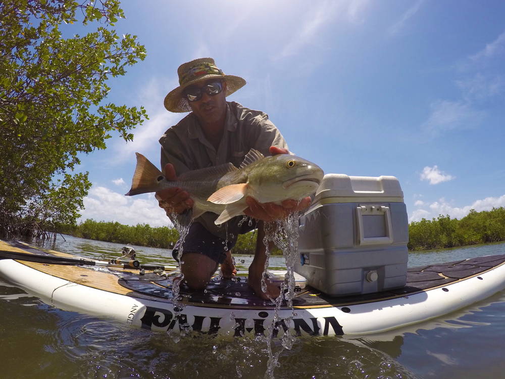 What to Prepare for Your First Sup Fishing Trip – Pau Hana Surf Supply