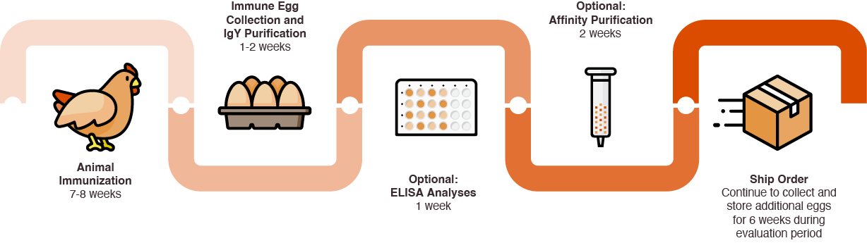 Custom Chicken Antibodies | Aves Labs