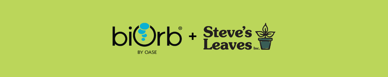 Innovative Aquariums and Terrariums for Your Home | biOrb US – biOrb [US]