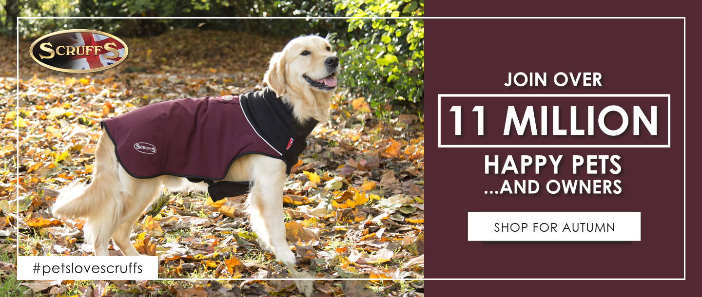 Scruffs® Luxury Dog Beds | Official Store – petslovescruffs