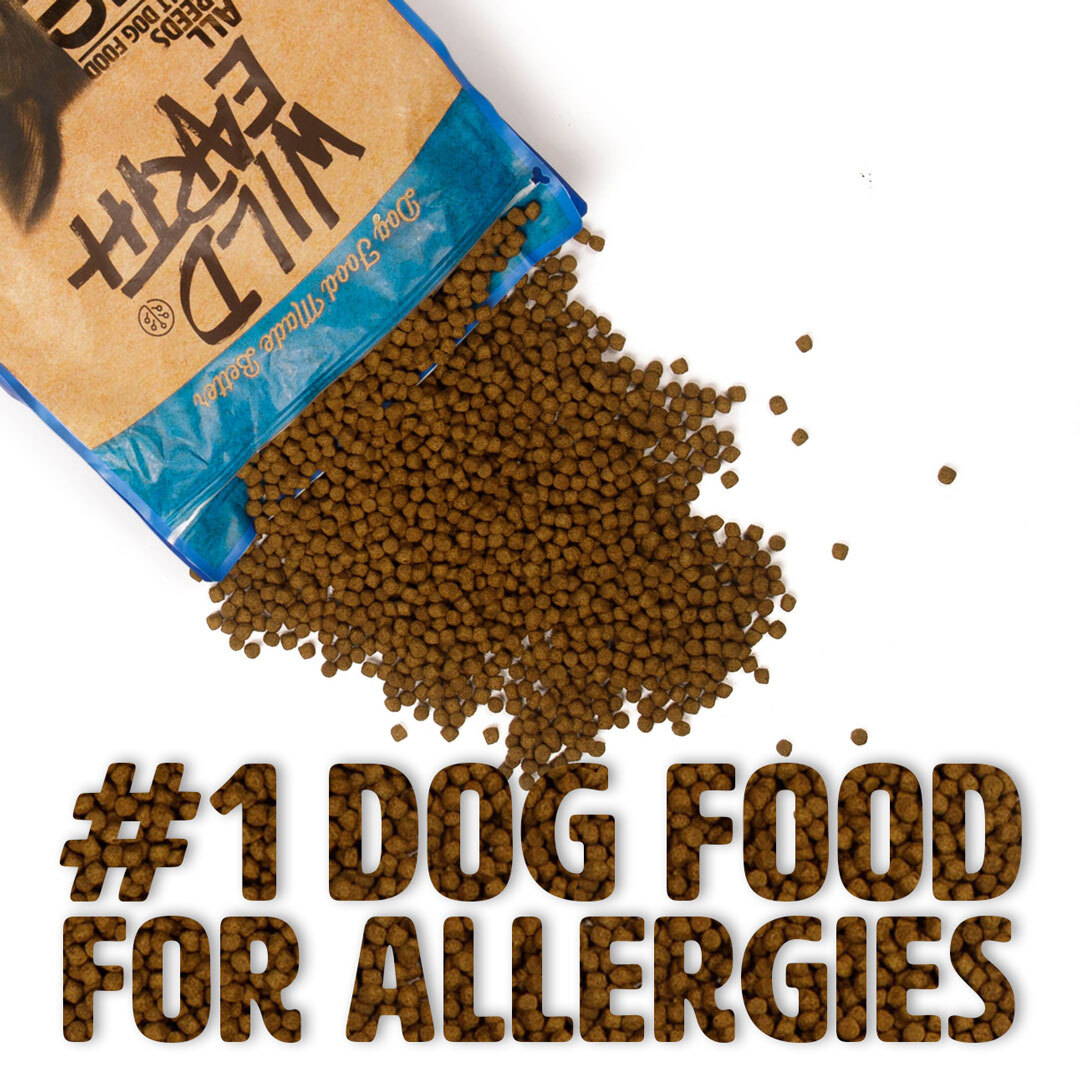Wild Earth The 1 Dog Food For Allergies