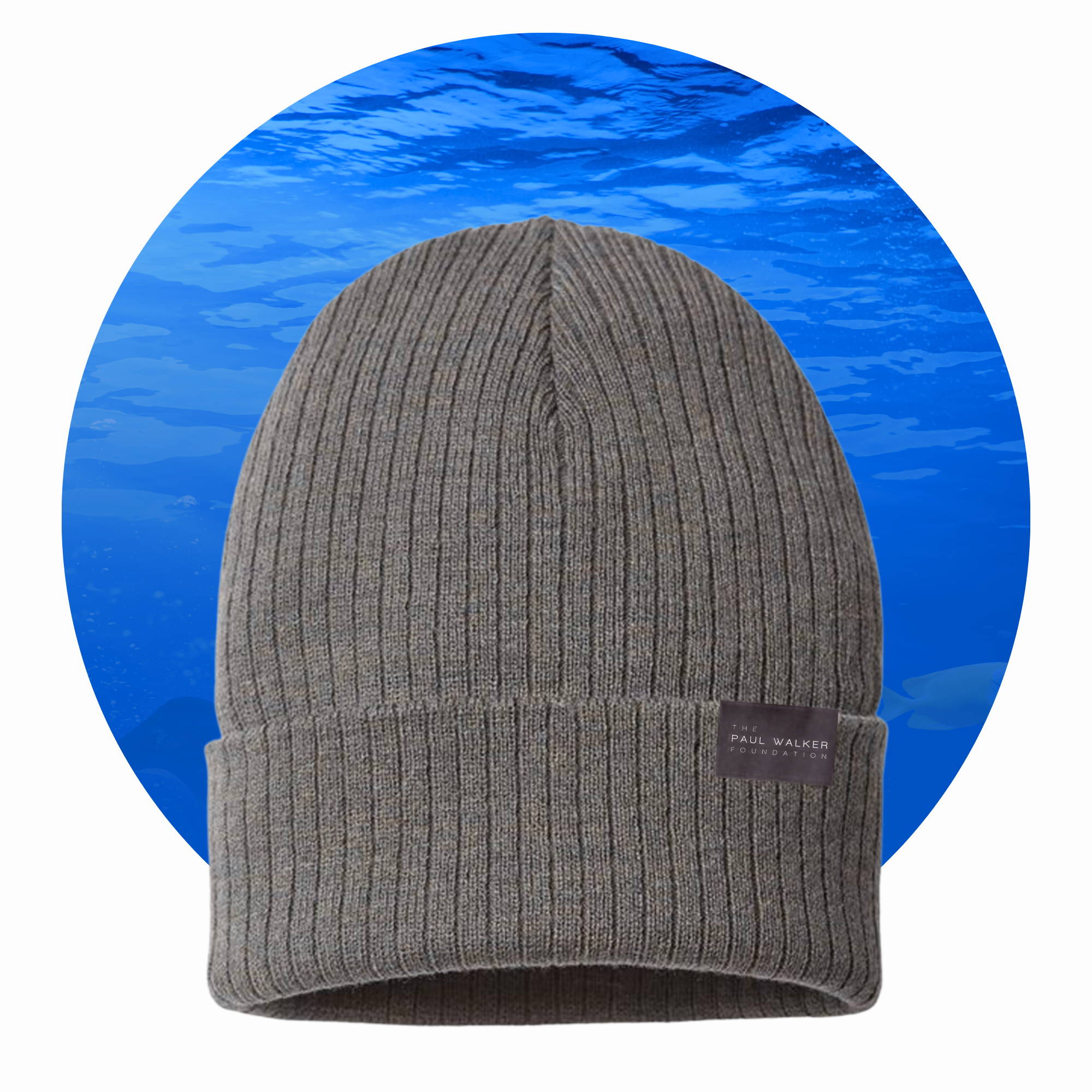 Shop – The Paul Walker Foundation