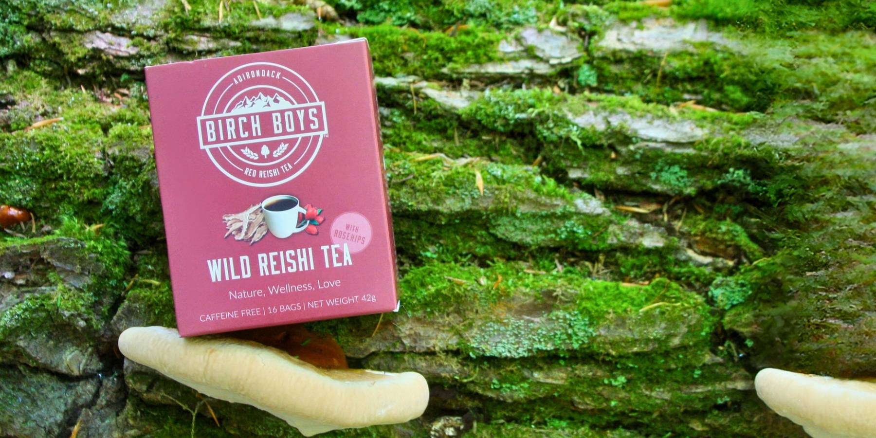 Birch Boys FAQ – Birch Boys, Inc.