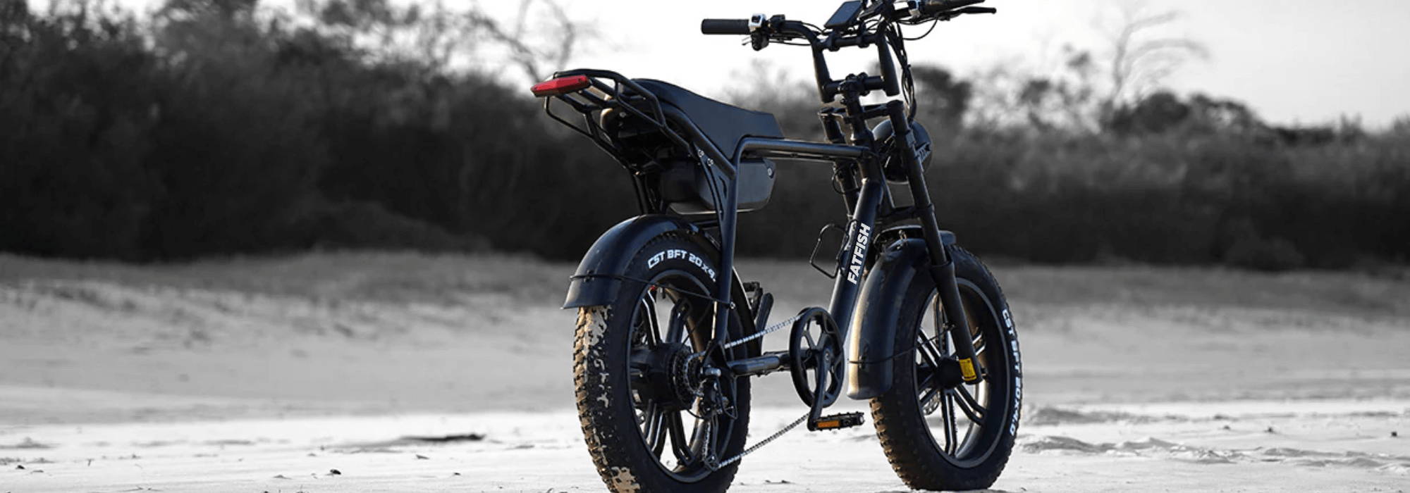 Fatfish Electric Bikes – Ride Electric