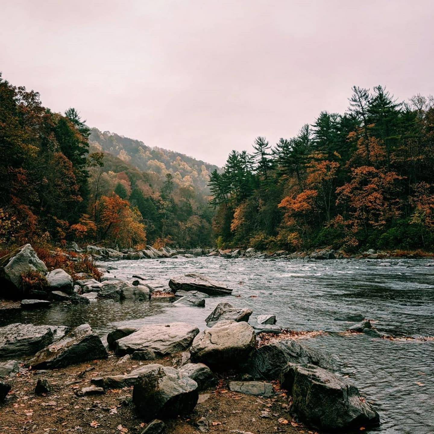 Great Allegheny Passage Loop | Trail Information | Ohiopyle Co.