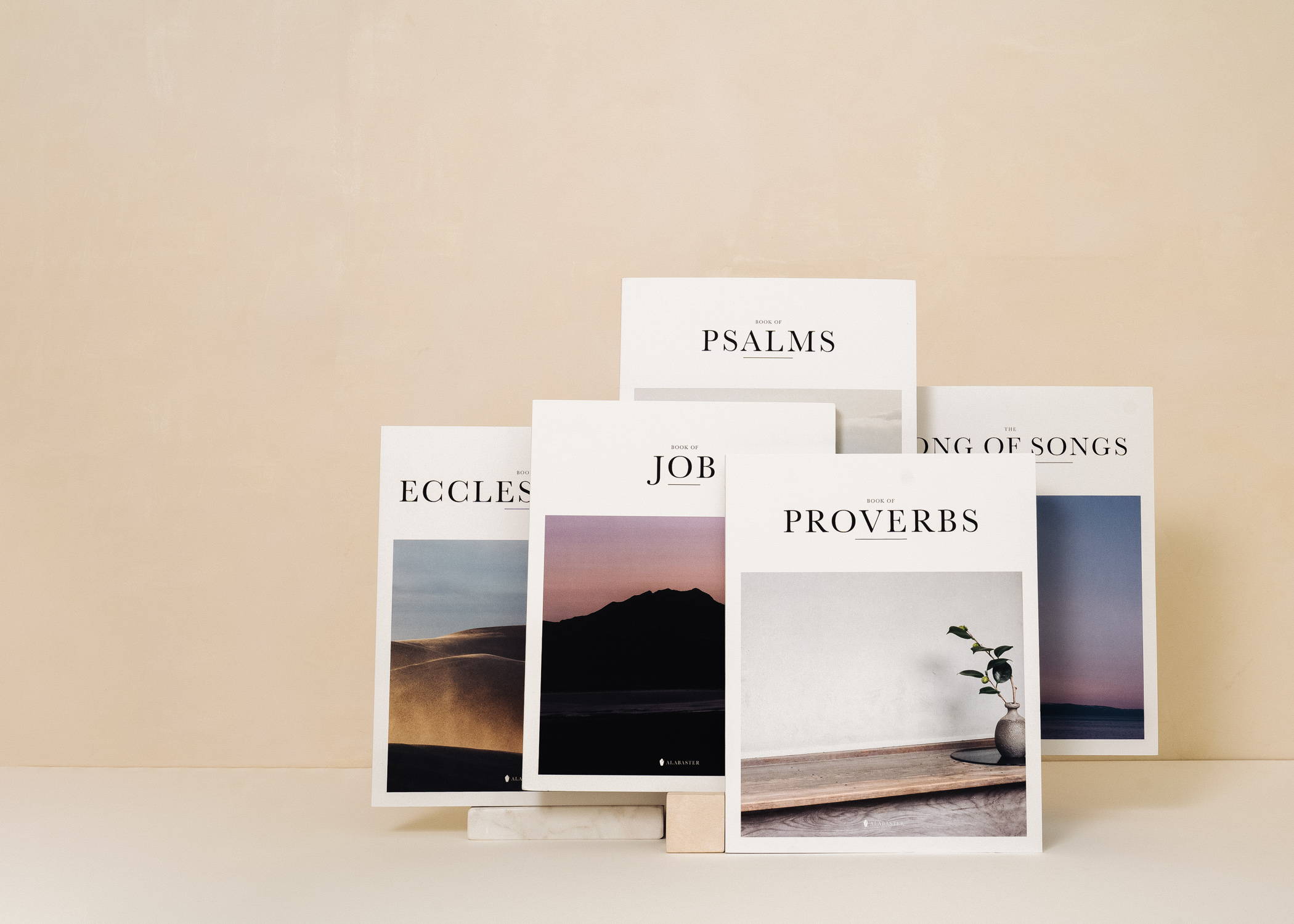 Shop | Alabaster Co