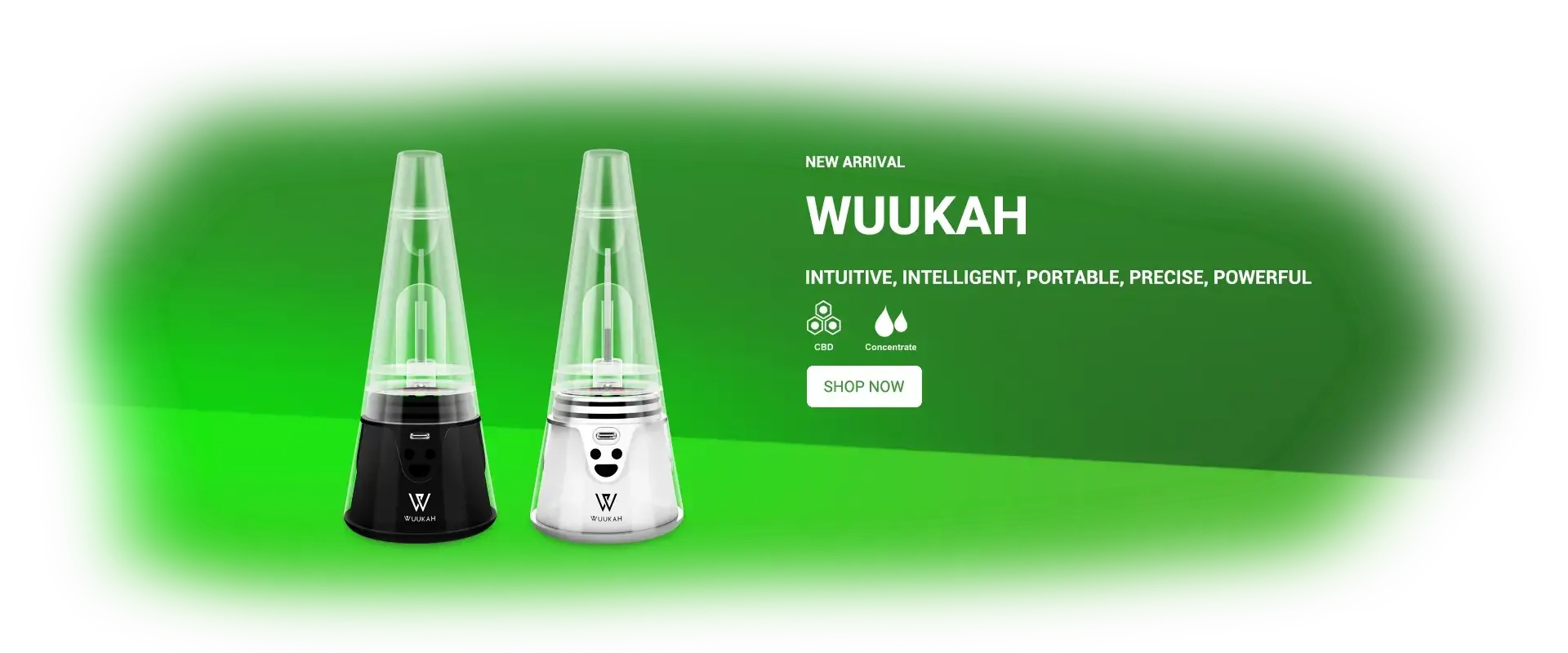 Leaf buddi: Premium Vaporizer Brand Vape Device Manufacturer – leaf buddi
