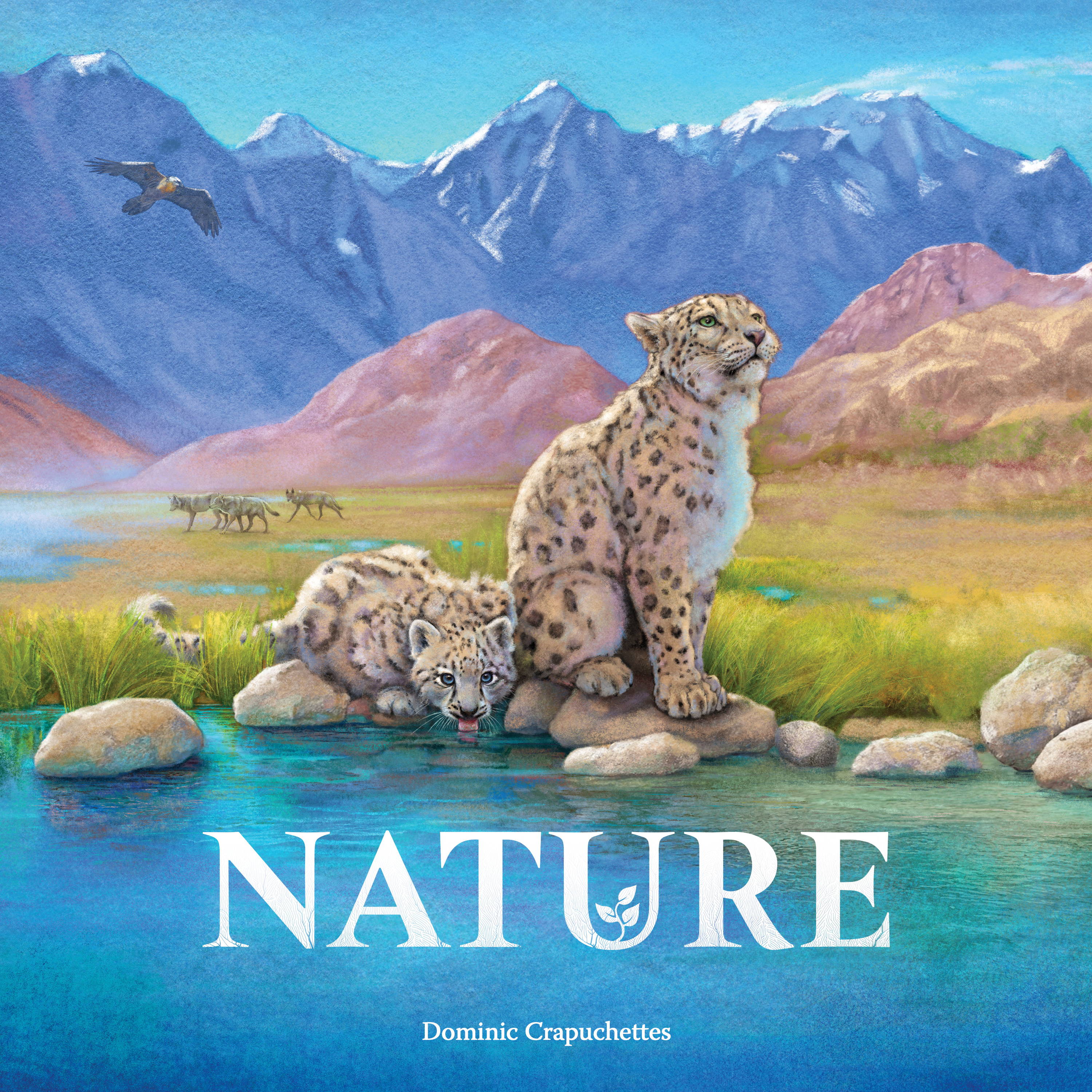 Nature Board Game | Adapt to the Changing Environment – North Star Games