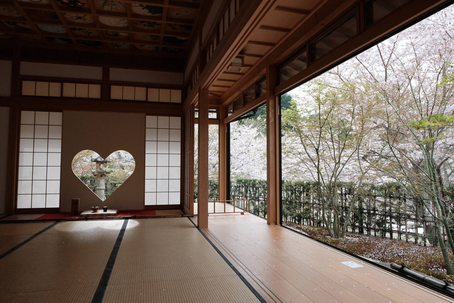 Experience Wazuka Tea – d:matcha Kyoto
