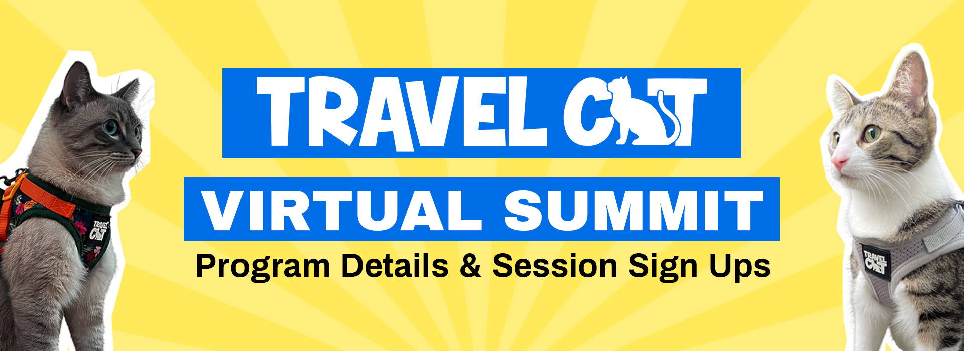 Travel Cat Virtual Summit Program